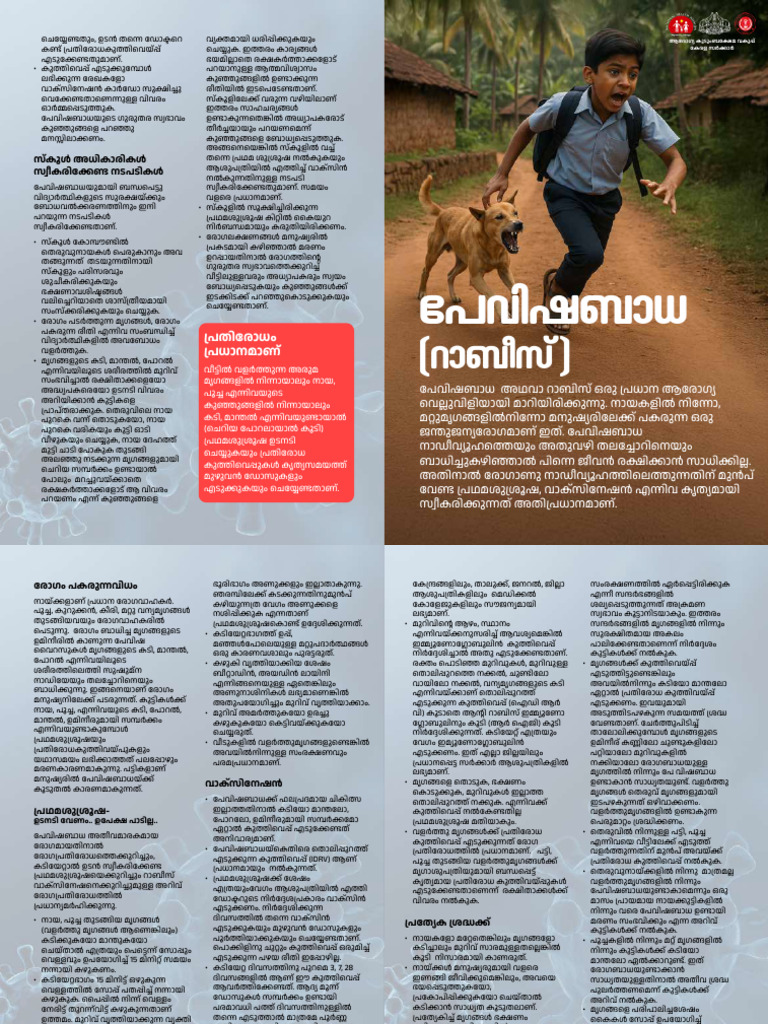 Rabies Leaflet For Schools | PDF