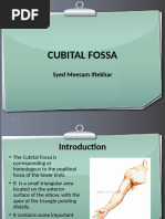 Cubital Fossa Anatomy and Clinical Relevance | PDF | Arm | Human Anatomy