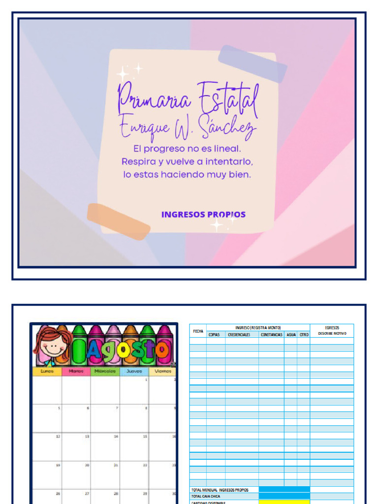 Ingresos Propios REGISTRO | PDF