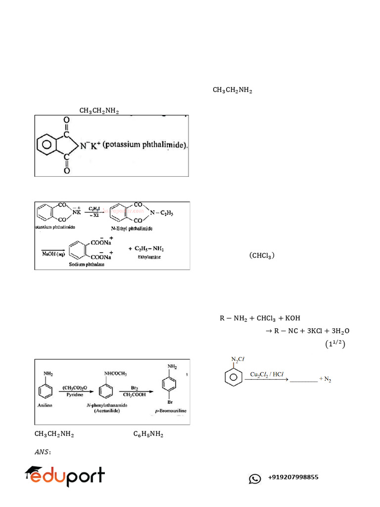 P2 C9 Amines PYQ 10602165648qefiye | PDF | Amine | Amide