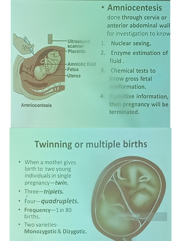 Embryology | PDF