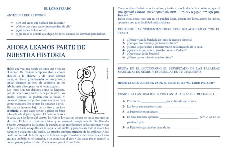 GuIa de ComprensiOn Lectora 3 Ano El Loro Pelado | PDF