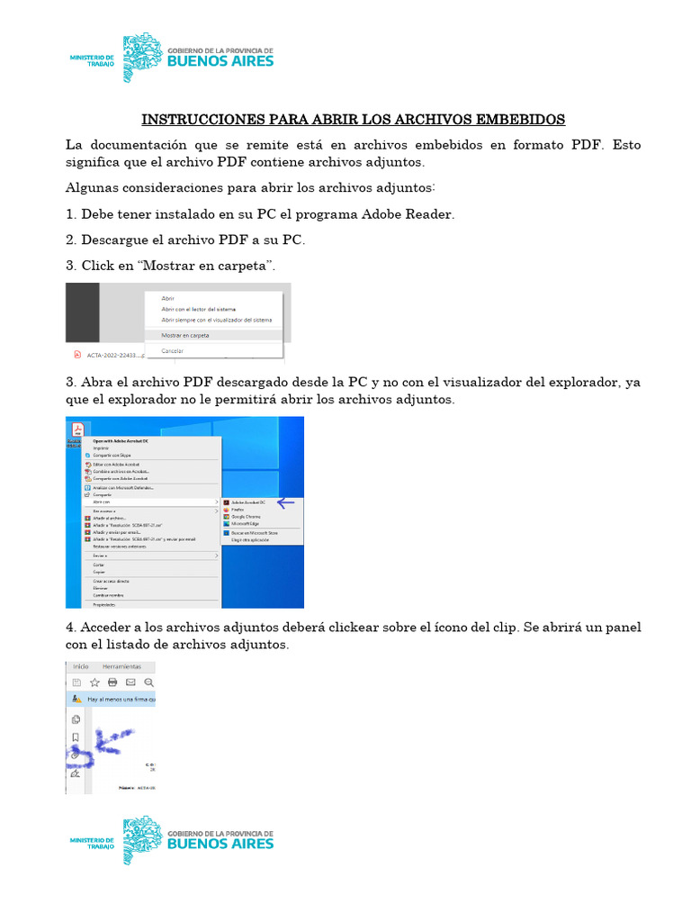Instrucciones para Abrir Archivos Embebidos | PDF
