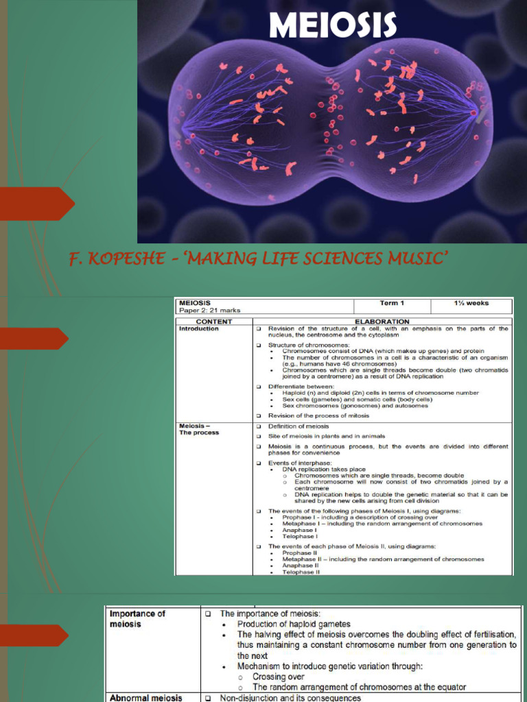 Understanding Meiosis and Chromosome Dynamics | PDF | Meiosis | Chromosome