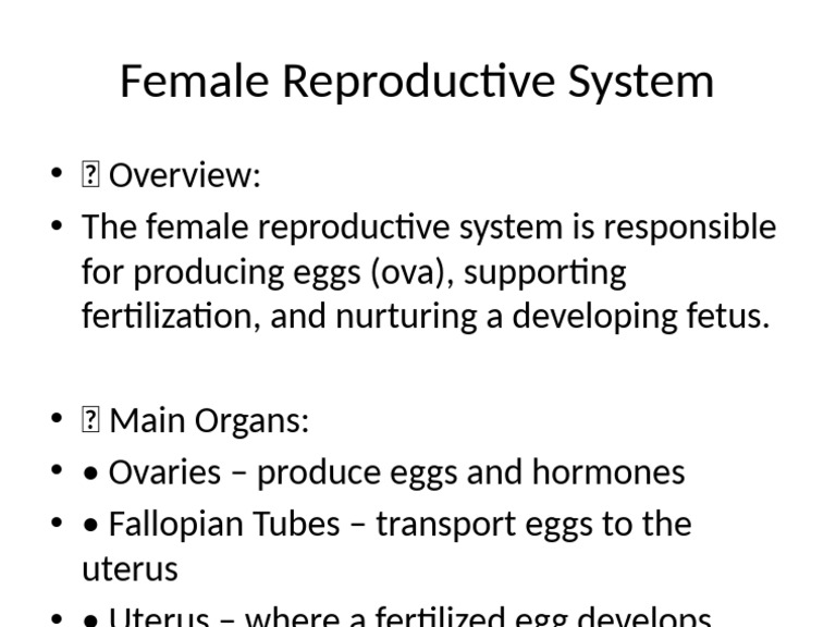 Real Female Reproductive System Overview | PDF