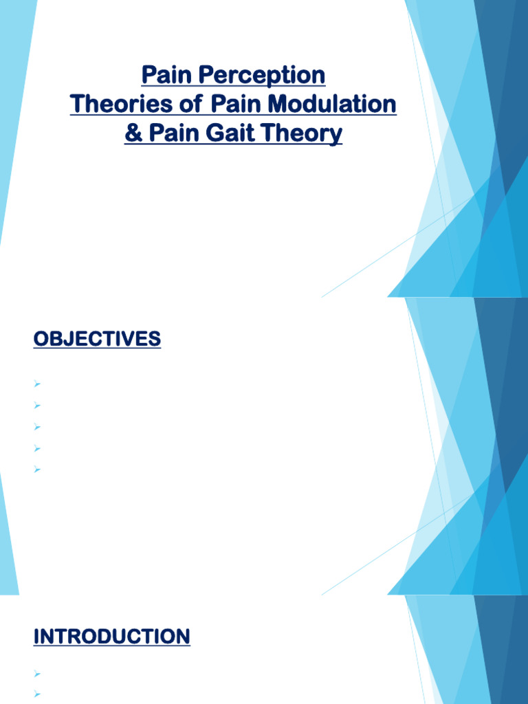 Pain Perception & Modulation | PDF | Pain | Perception