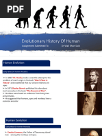 Human Evolution Chart | PDF | Homo | Human Evolution