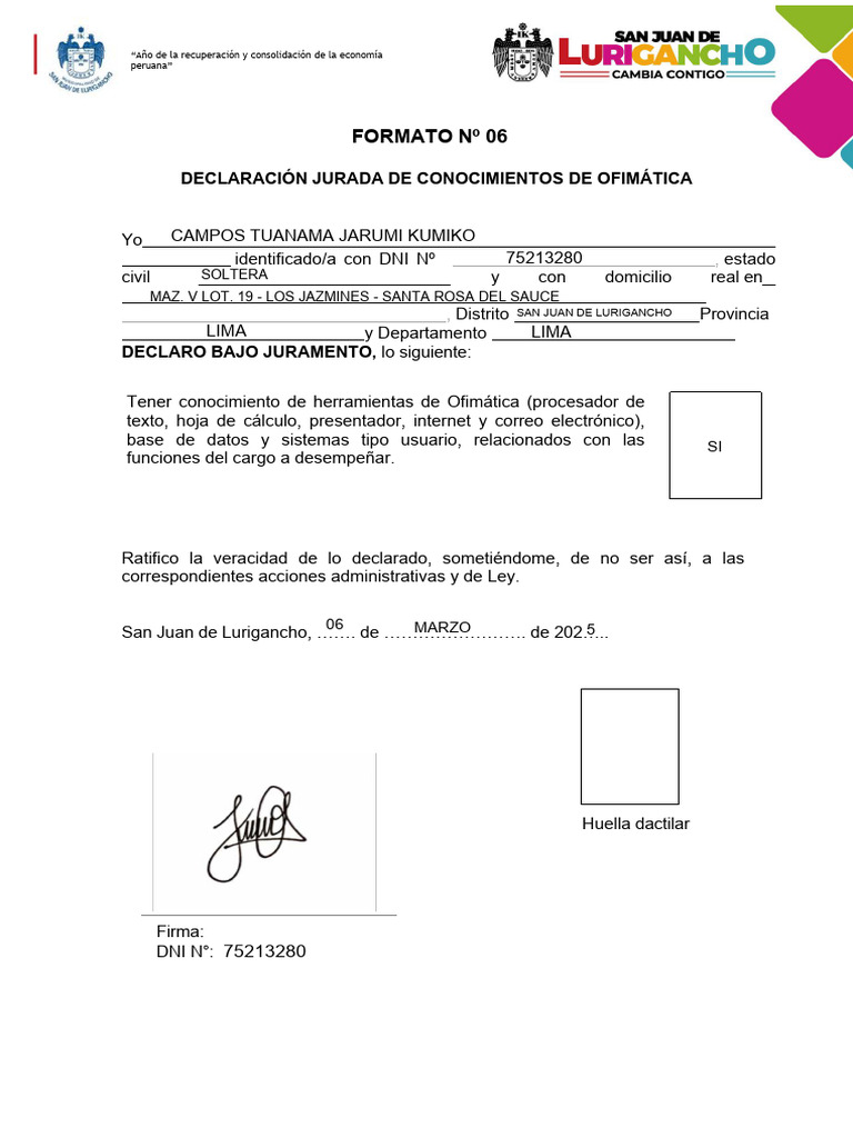 Formato #06: Declaración Jurada de Conocimientos de Ofimática | PDF