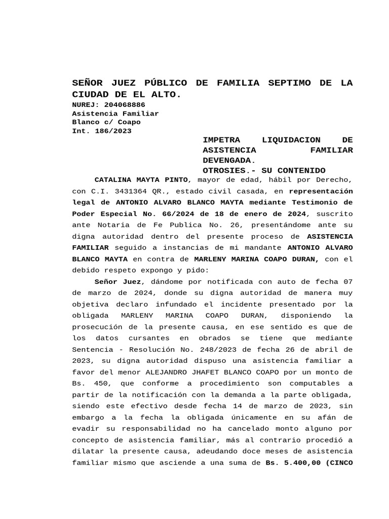 Liquidacion - Antonio Alvaro Blanco | PDF