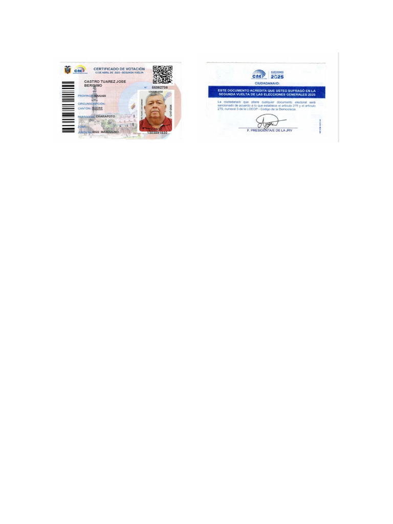 Papeleta Castro | PDF