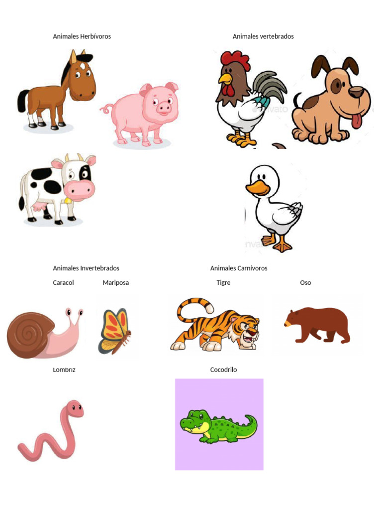 Animales Herbívoros Animales Vertebrados | PDF