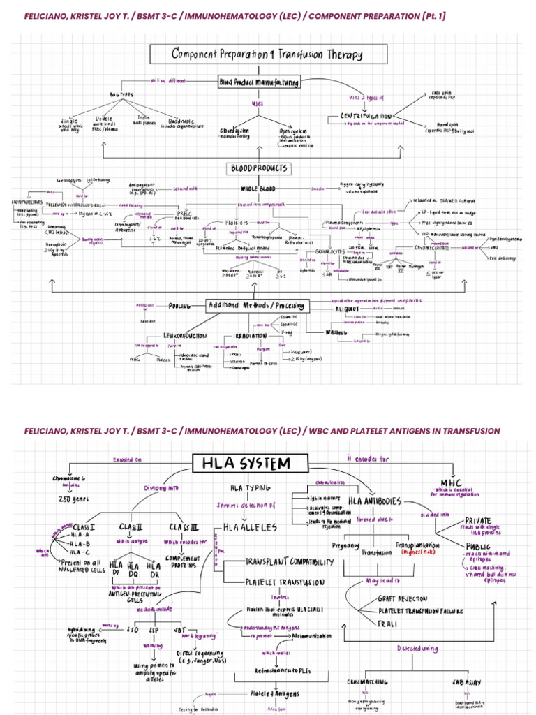 Concept Maps | PDF