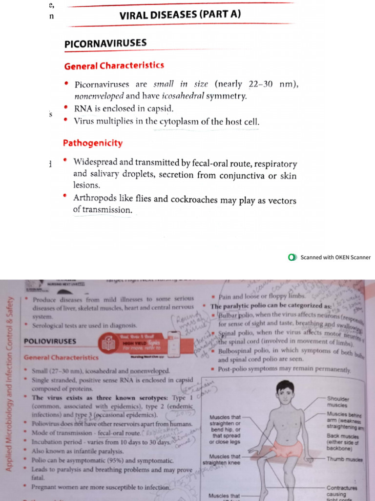 Virology and Mycology | PDF