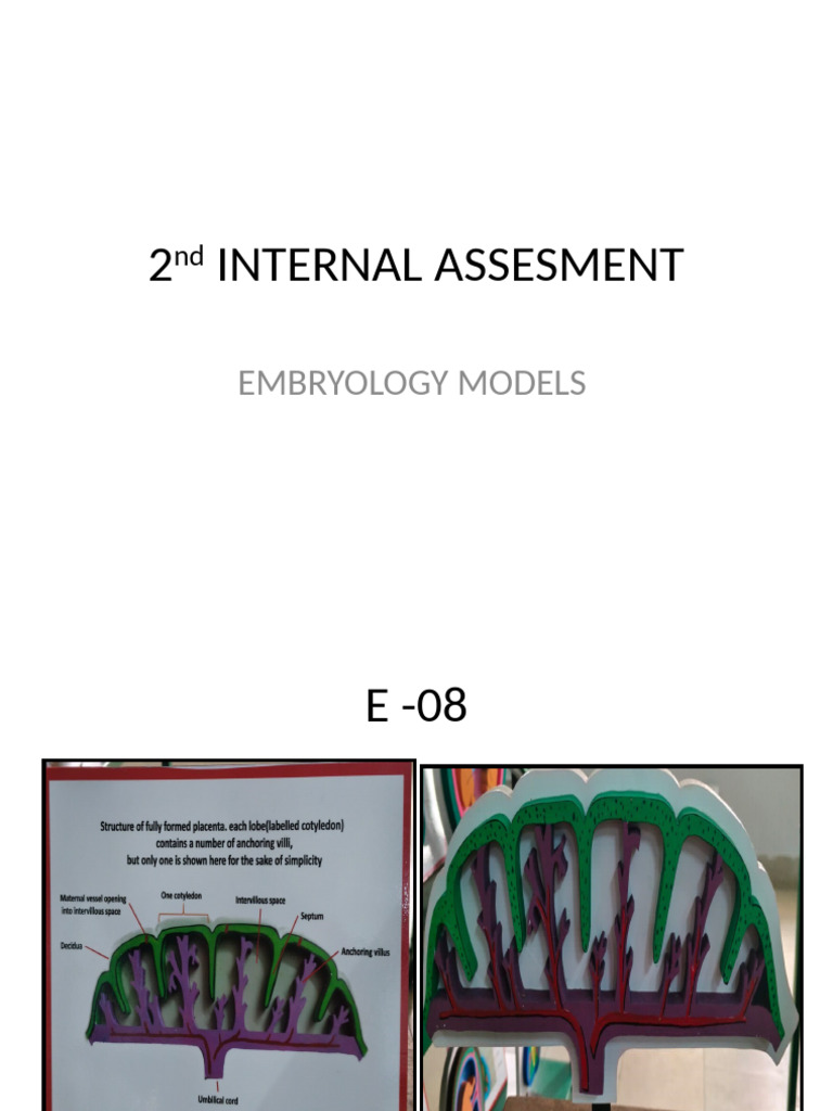2nd Internal Assesment | PDF