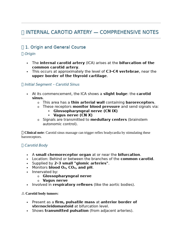 Internal Carotid Artery | PDF | Common Carotid Artery | Angiology