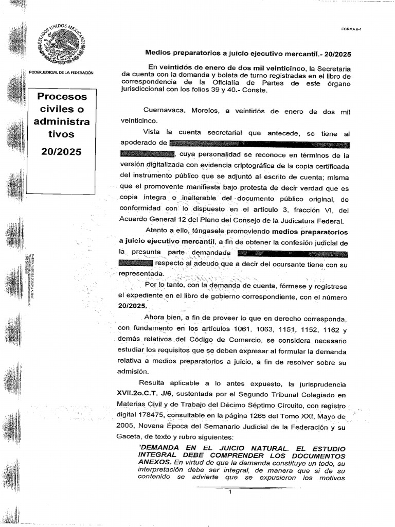 Entrega Resolucion MPJ 20-2025 Ok | PDF