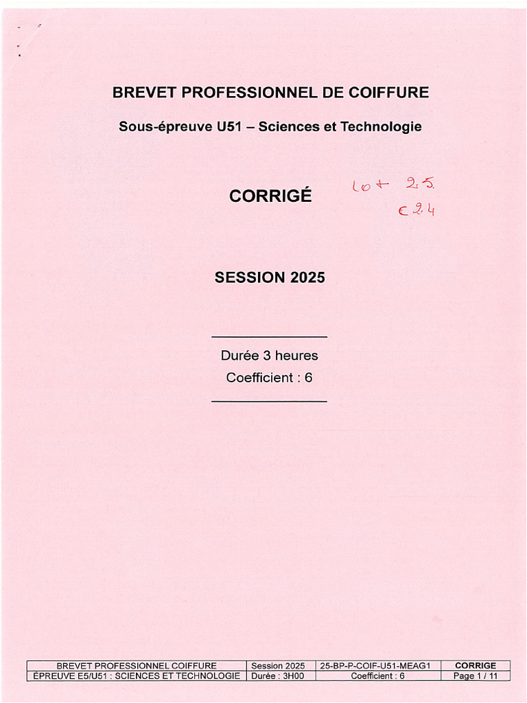 BP Coiffure Juin 2025 Corrigé | PDF