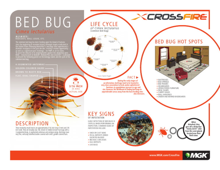 20 MGK 0256 Updated Bed Bug Poster 8.5x11 | PDF | Bed | Insects And Humans
