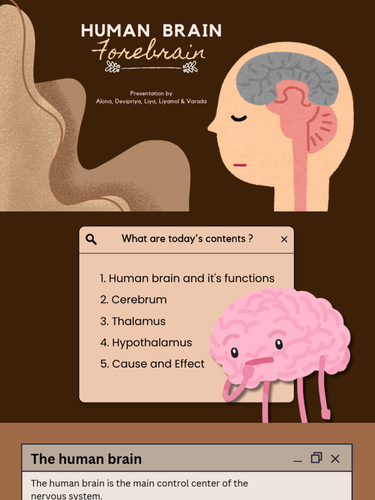 Human Brain - 20250701 - 100805 - 0000 | PDF | Human Brain | Cerebrum