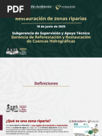 Definicion Vegetación Riparia | PDF | Zona ribereña | Inundar