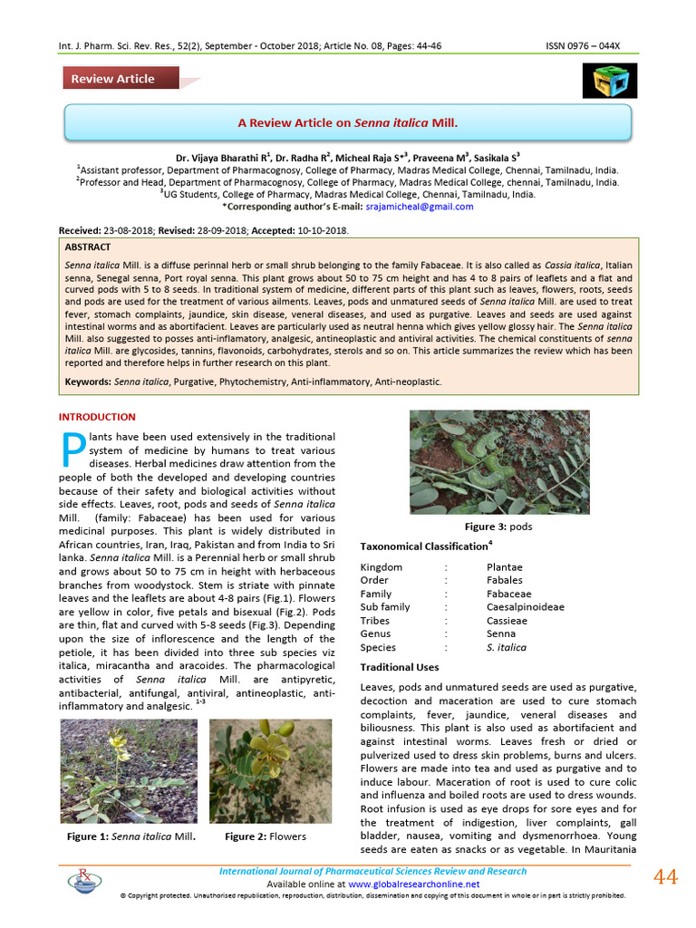 Senna Italica Colorless Henna | PDF