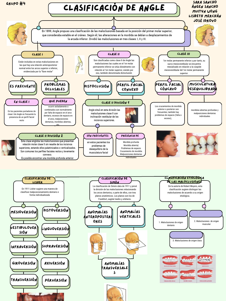 Clasificación de Angle: Clase I de Maloclusión | PDF | Ortodoncia ...