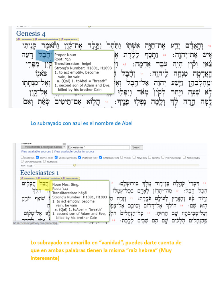 HEBEL | PDF