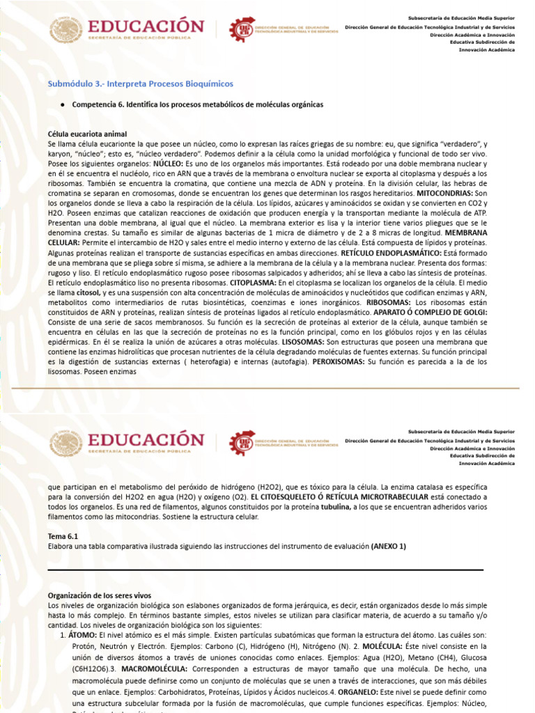 1420 Subm-Dulo 3 Interpreta Procesos Bioqu-Micos | PDF | Citoplasma | Nitrógeno