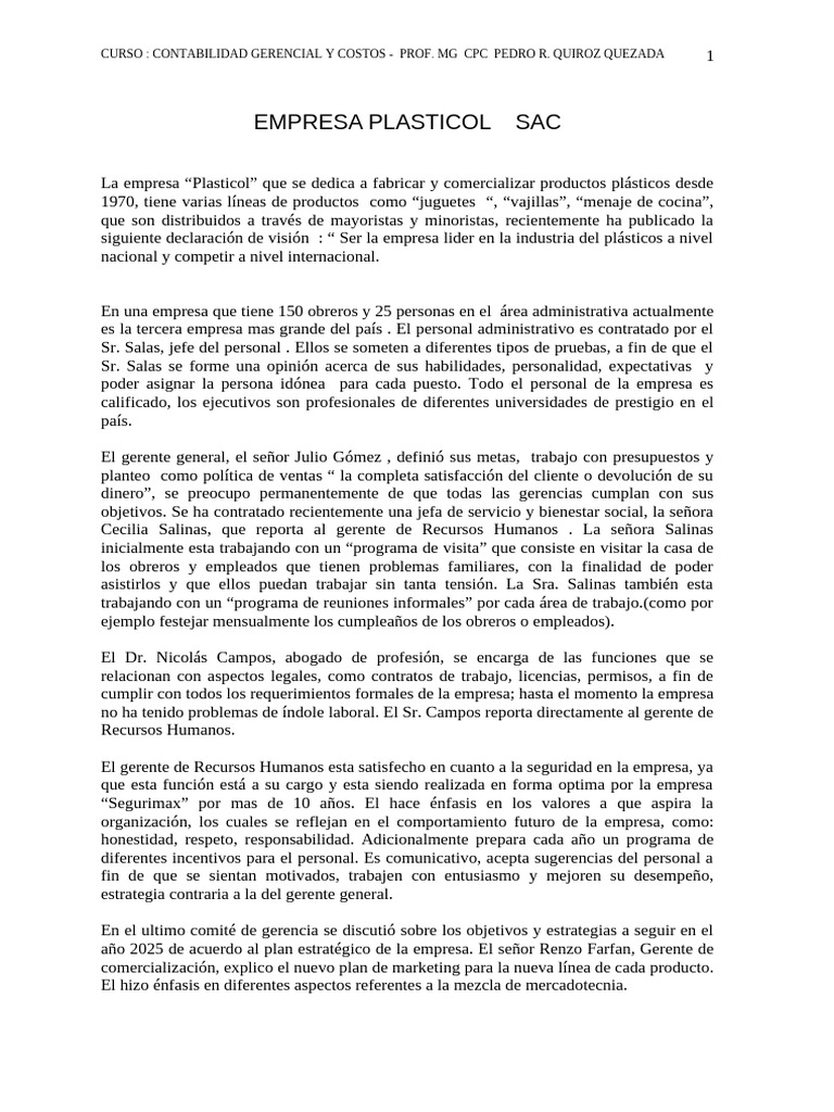 Informe de Auditoría de Plasticol S.A. 2024 | PDF | Contabilidad | Business