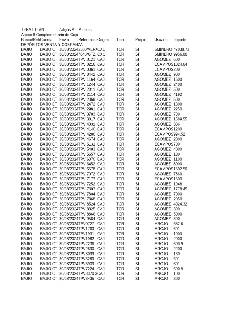 Anexo 9 Complementario de Caja | PDF