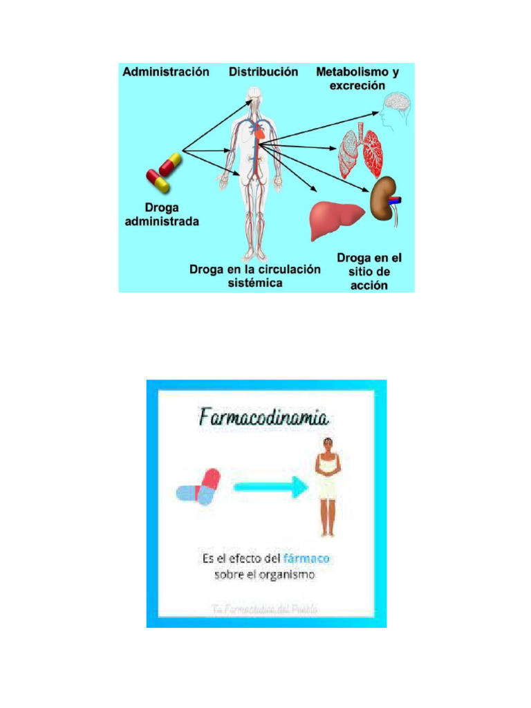 Far Maco Cine Tica | PDF