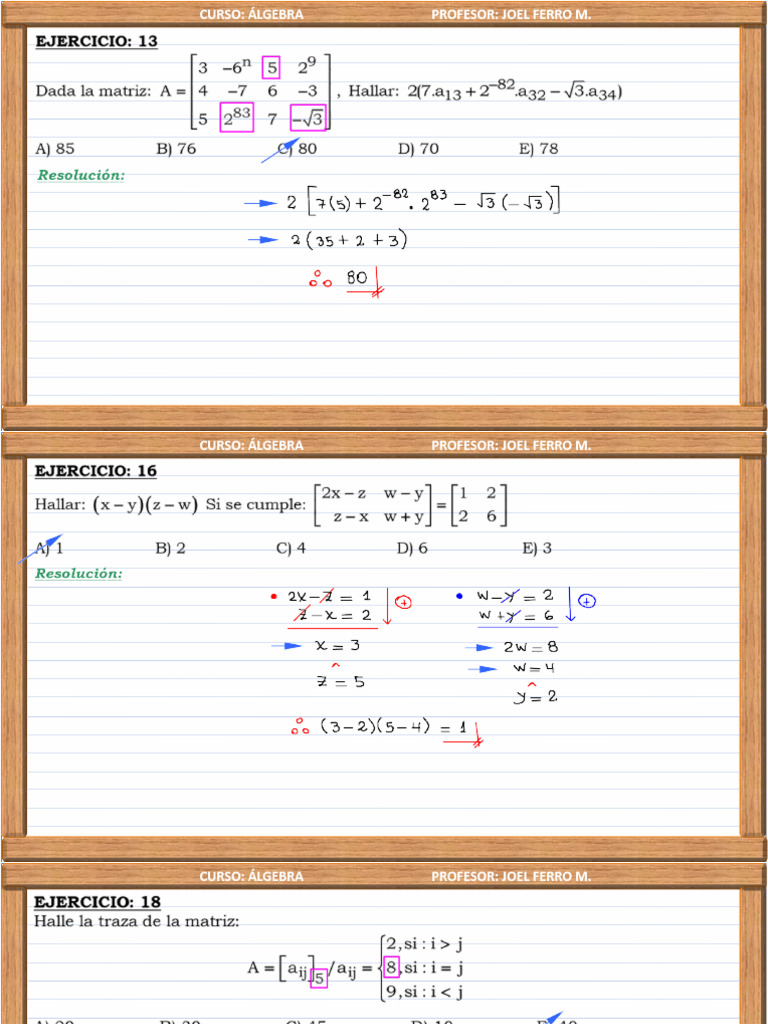 Matrices 1 Lideres | PDF