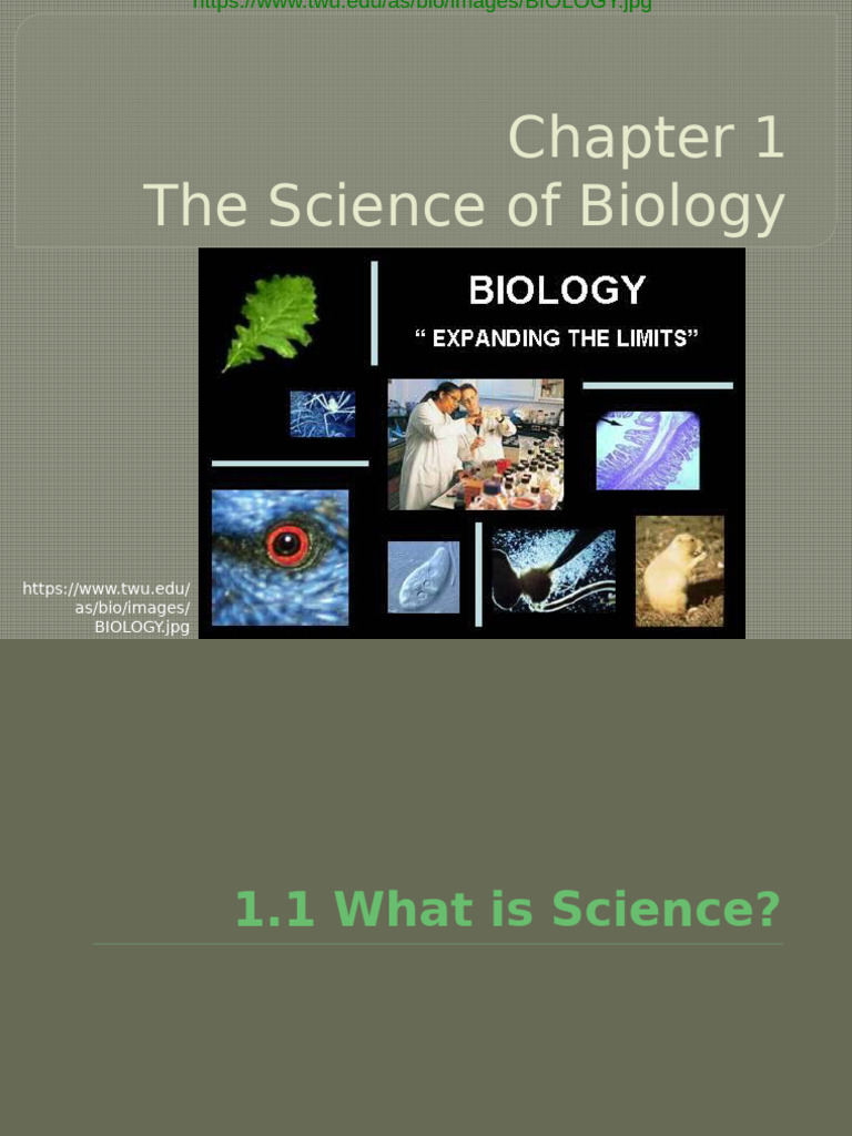 Chapter 1 The Science of Biology | PDF | Life | Experiment