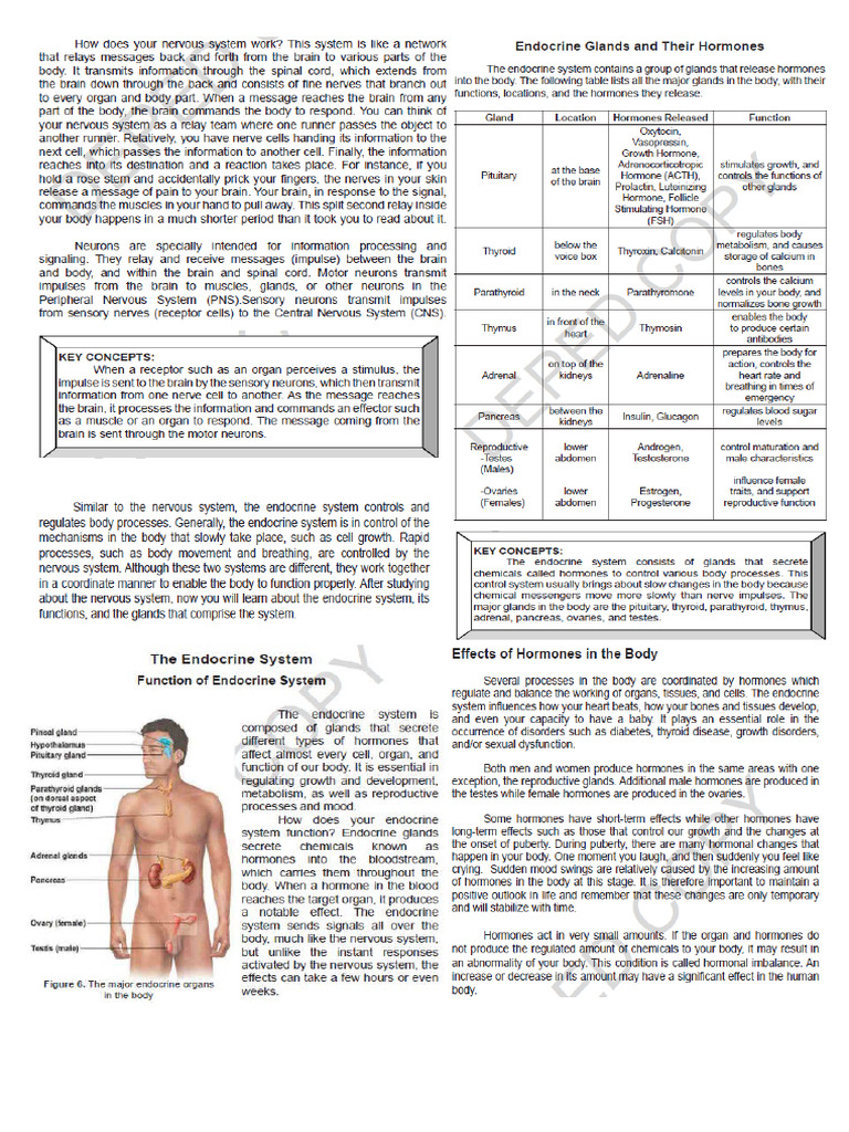 Science 10 q3 Module 1 Reviewer | PDF