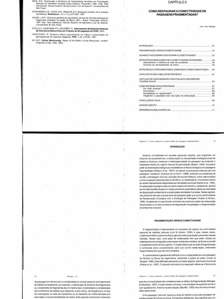 Metzger Cap 03 | PDF