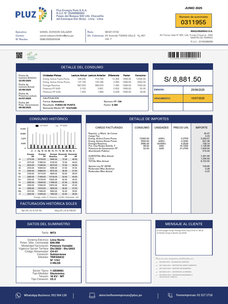 Recibo 0311955 Jun-2025 | PDF | Apelación | Energia electrica