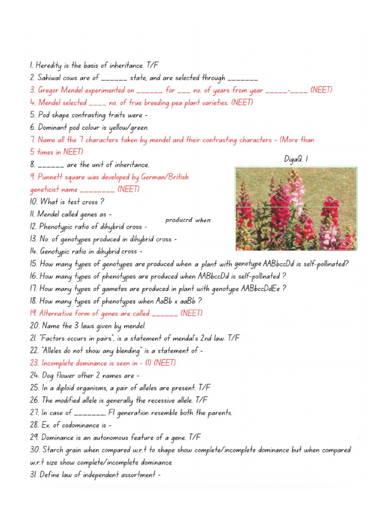 Principles of Inheritance | PDF