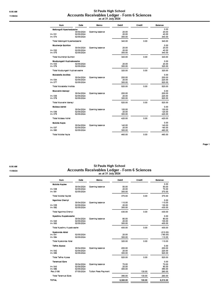 (E) (Iii) AR Ledger - Form 6 Sciences (31 July 2024) | PDF | Business ...