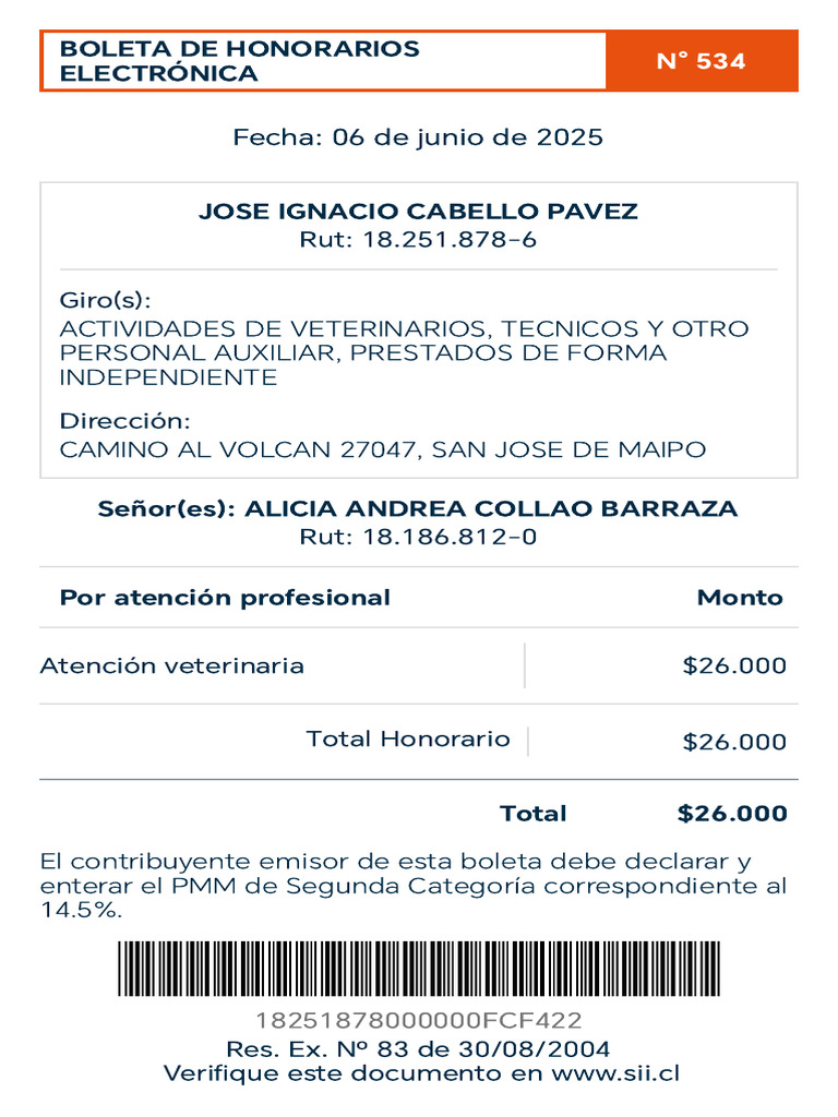18251878-6 Boleta 534 | PDF