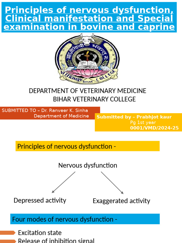 Principles of Nervous Dysfunction Presentation Final | PDF | Diseases ...