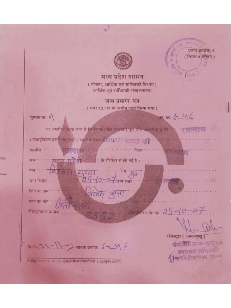 Birth Certificate | PDF