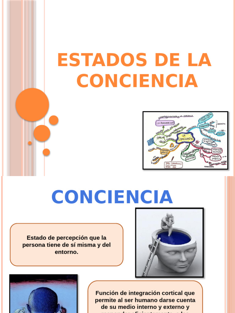 Estados de La Conciencia Rotacion | PDF | Coma | Cerebro