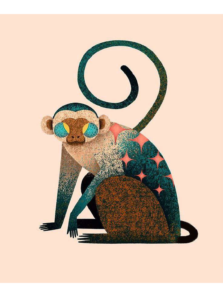 Behance - Steve Aparicio | PDF