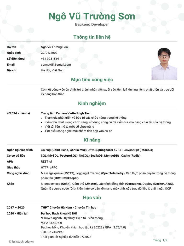 CV Ngo Vu Truong Son Golang Java | PDF