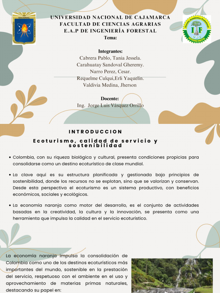 Economia Naranja en Colombia | PDF