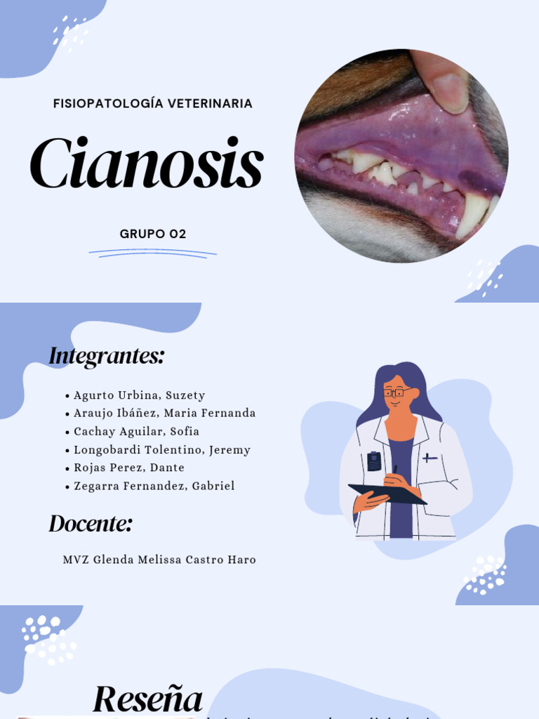 Cianosis en Perros: Causas y Diagnóstico | PDF | Especialidades Medicas ...