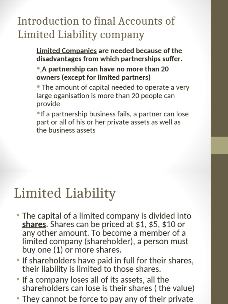 Slide Limited Liability Company | PDF | Dividend | Preferred Stock