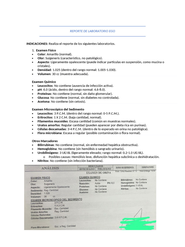 Filamentos Mucoides en Orina: Análisis EGO | PDF | Diabetes ...