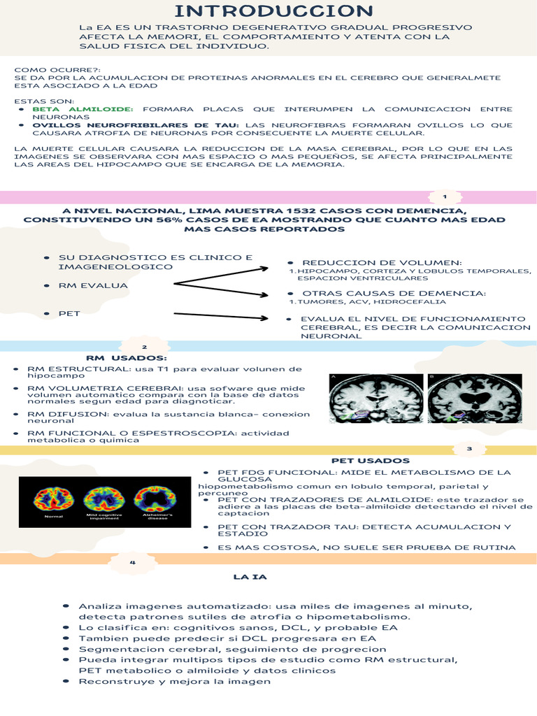 Infografía Autismo Profesional Multicolor | PDF | Cerebro | Tomografía ...