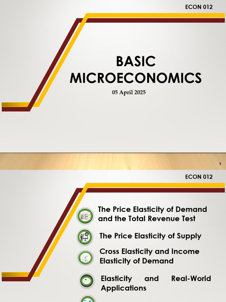 Basic Microeconomics - Elasticity | PDF | Elasticity (Economics) | Demand